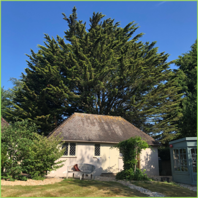 Boundary Trees - Skinner Holden Property Advisors